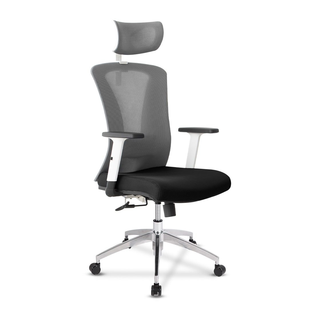 Silla de Oficina Delphi A1GW Plus – Tizianni