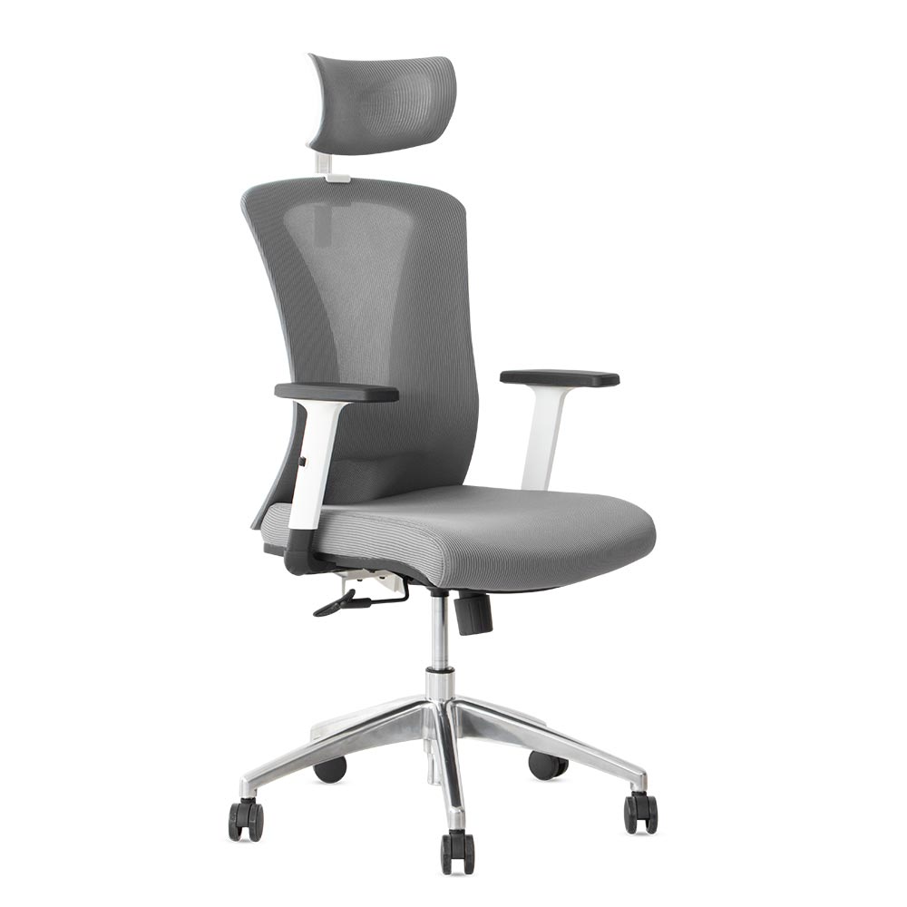 Silla de Oficina Delphi A1GW Plus – Tizianni