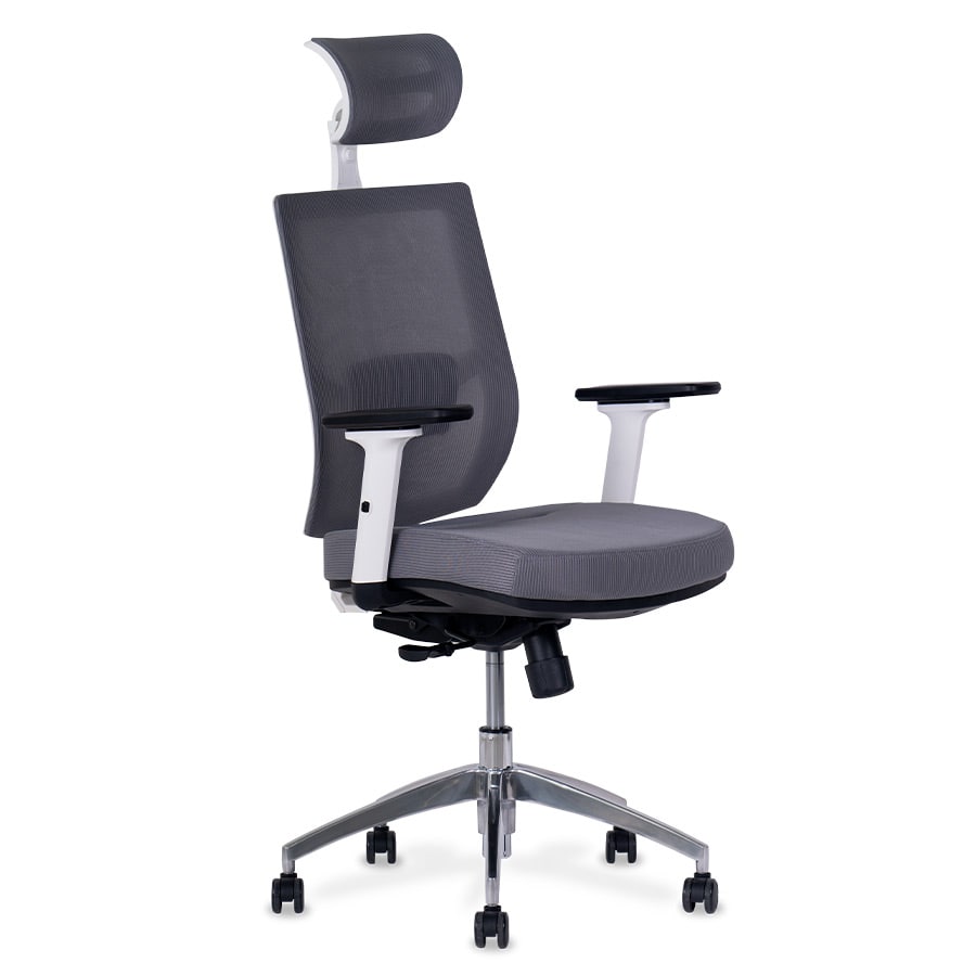 Silla de Oficina Delphi 8W Plus – Tizianni