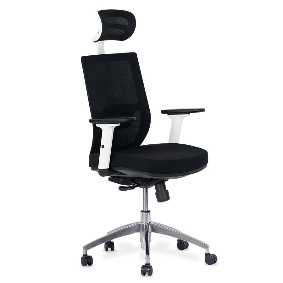 Silla de Oficina Delphi 8W Plus – Tizianni